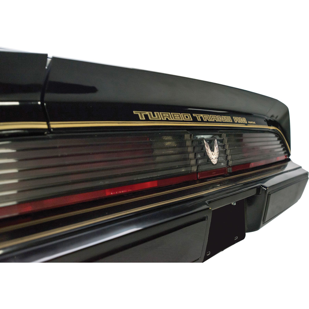 1981 All Makes All Models Parts | 80688 | 1981 Trans AM Special Edition ...