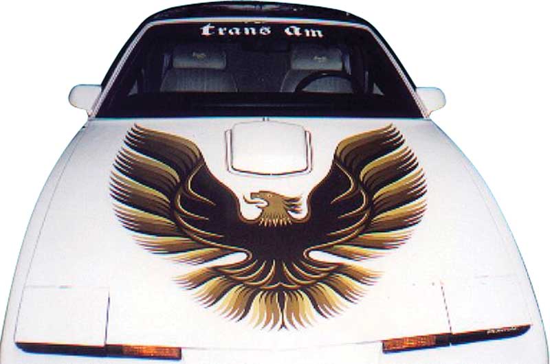1979-1981 All Makes All Models Parts | 80884 | 1979-81 Firebird Esprit ...