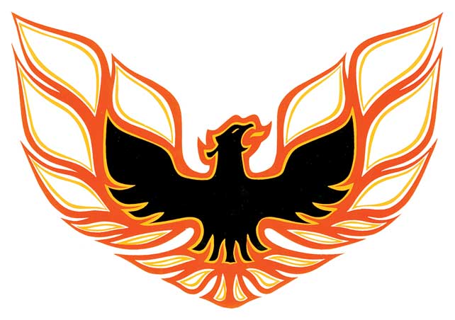 1973-1978 All Makes All Models Parts | DT337 | 1973-78 Firebird Formula ...