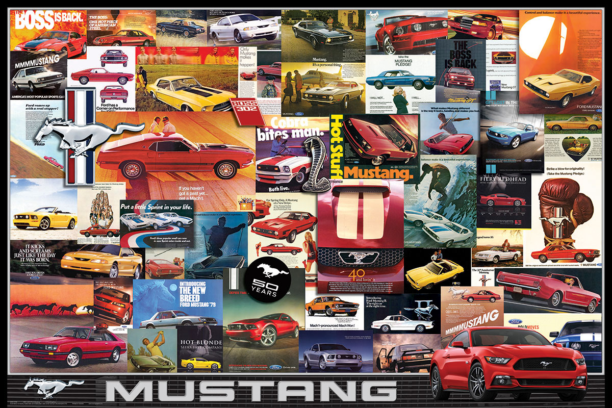 1964-2018 All Makes All Models Parts | POSTER6 | Eurographics; Poster ...